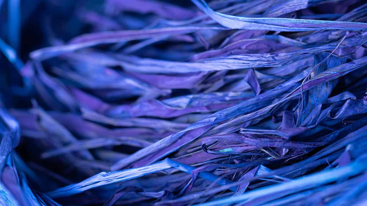 Ventajas de la rafia - Embalajes Selección