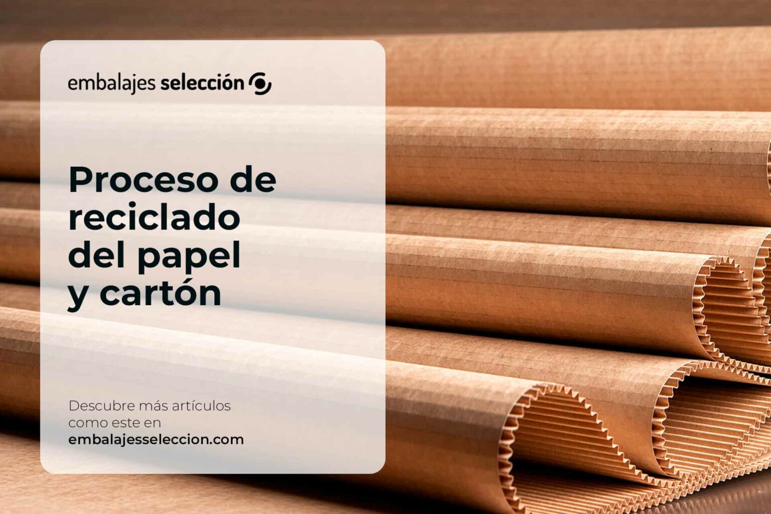 Proceso de reciclado del papel y cartón - Embalajes Selección